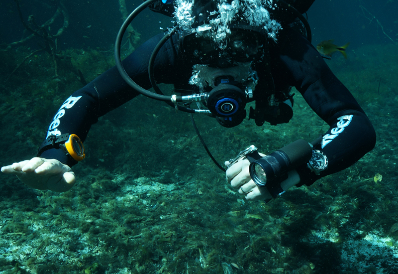 Dive Time: Diving Watch Special