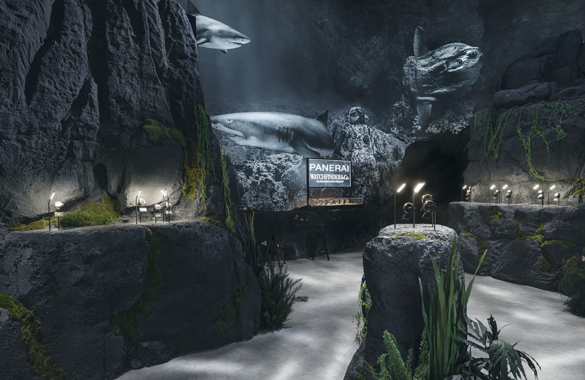 Watchfinder Celebrates 20 Years As A Trailblazer For The Premium Pre ...