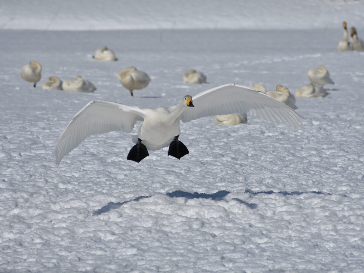 Can The Watch Industry Engineer A Soft Landing In 2024?